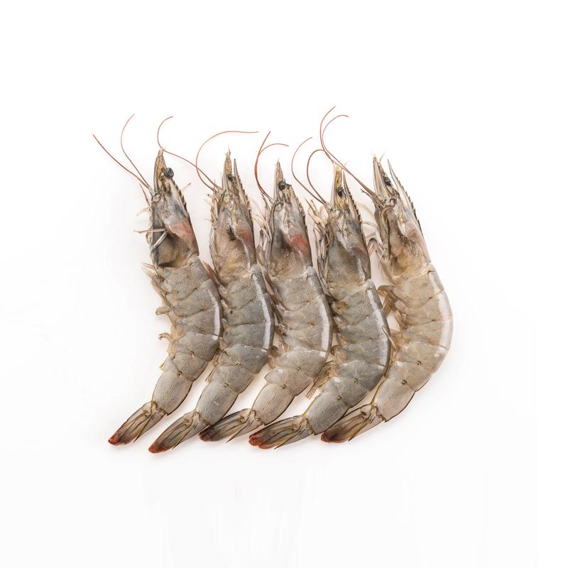Fresh Farm Prawns - Market Boy | SG Wet Market Online | Seafood